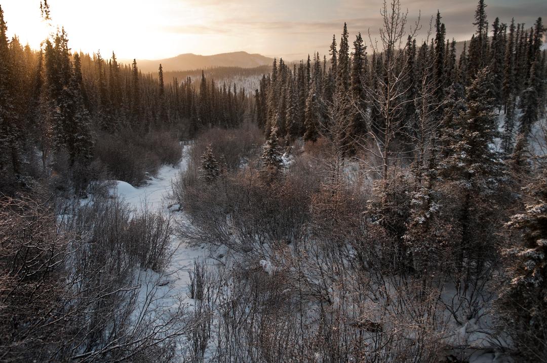 Denali National Park & Preserve