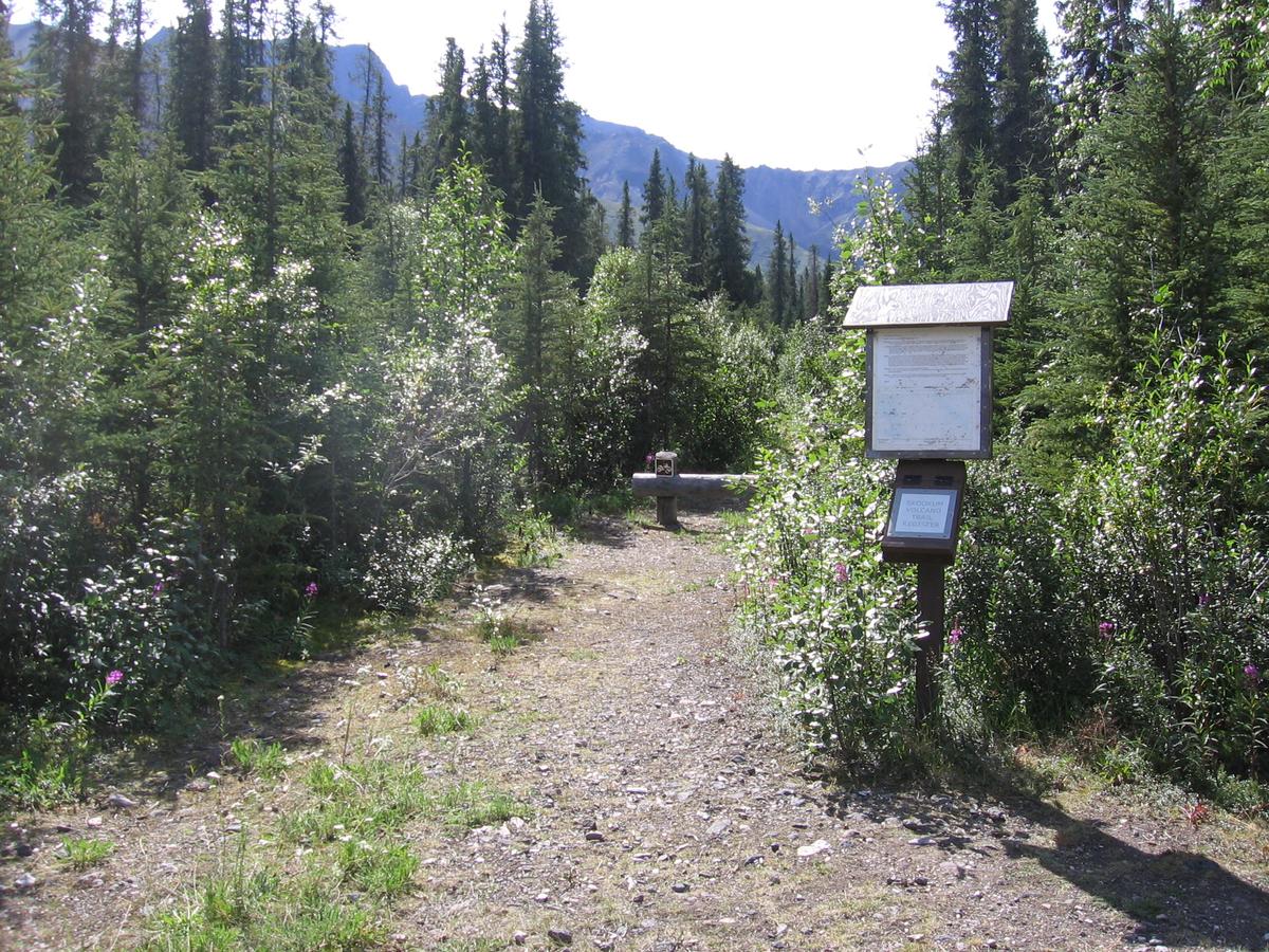Wrangell - St Elias National Park & Preserve