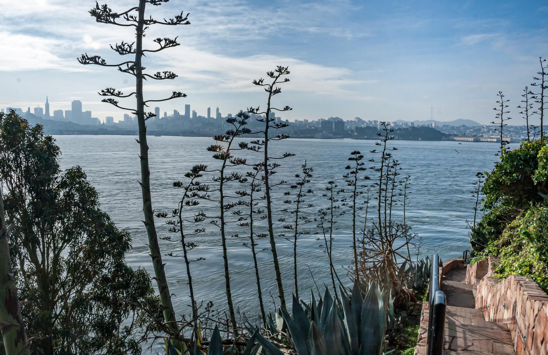 Alcatraz Island