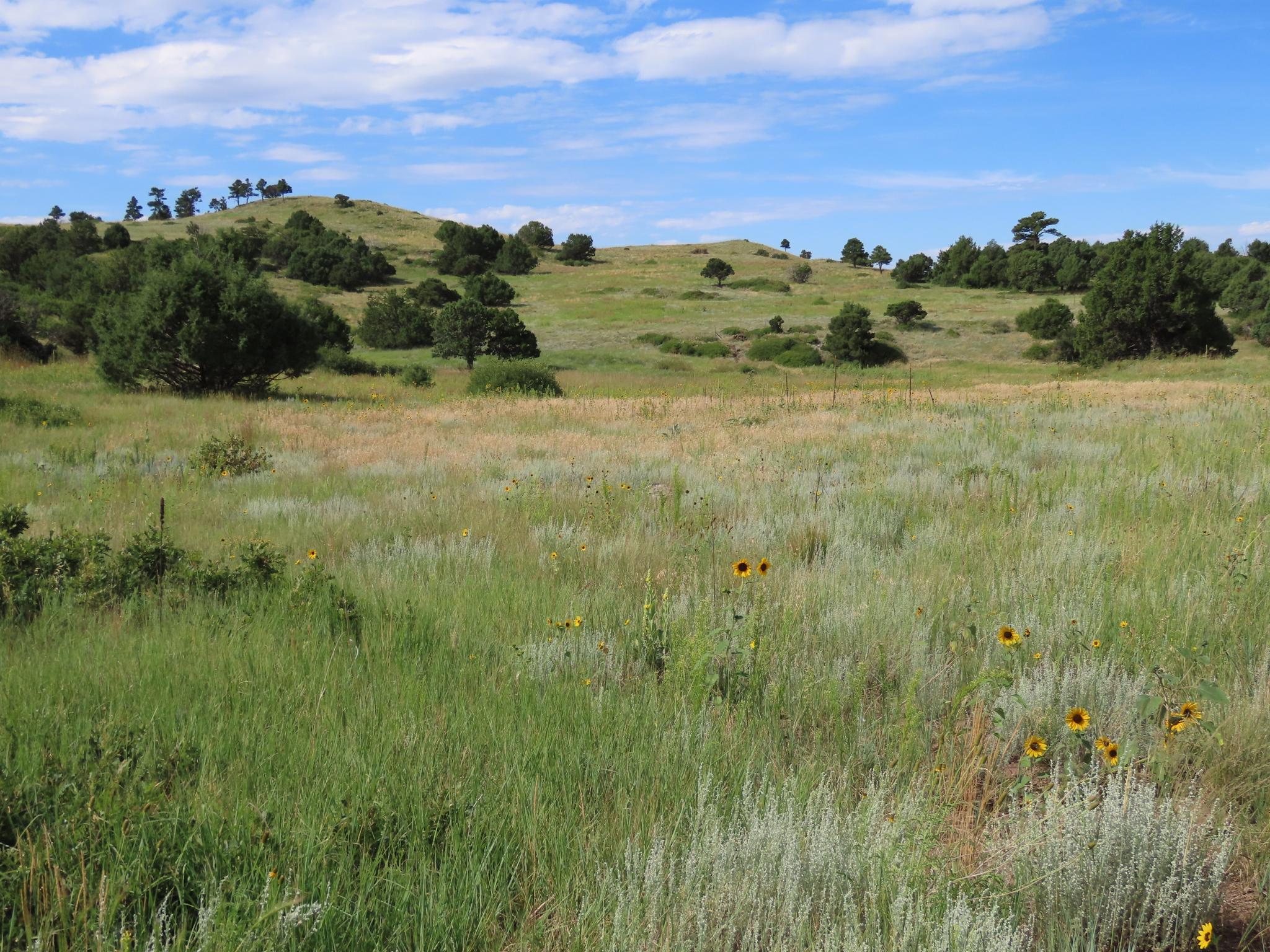 Capulin Volcano National Monument