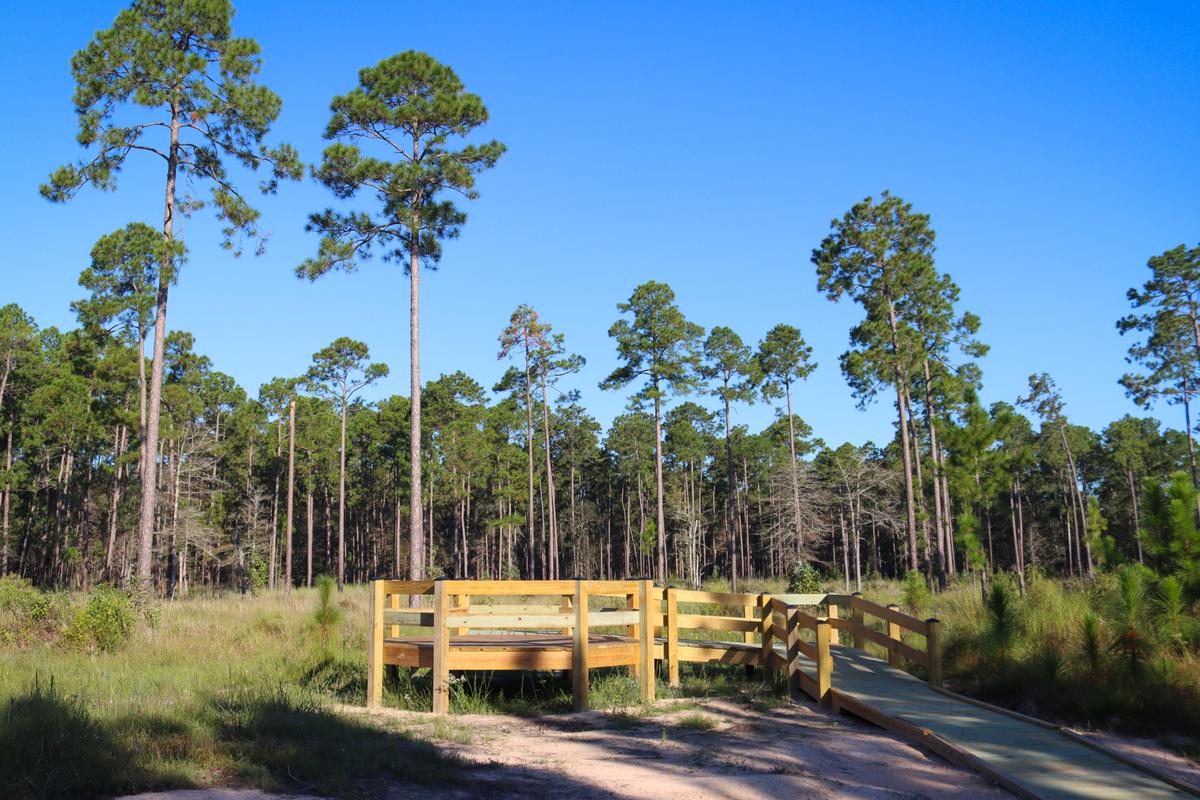 Big Thicket National Preserve