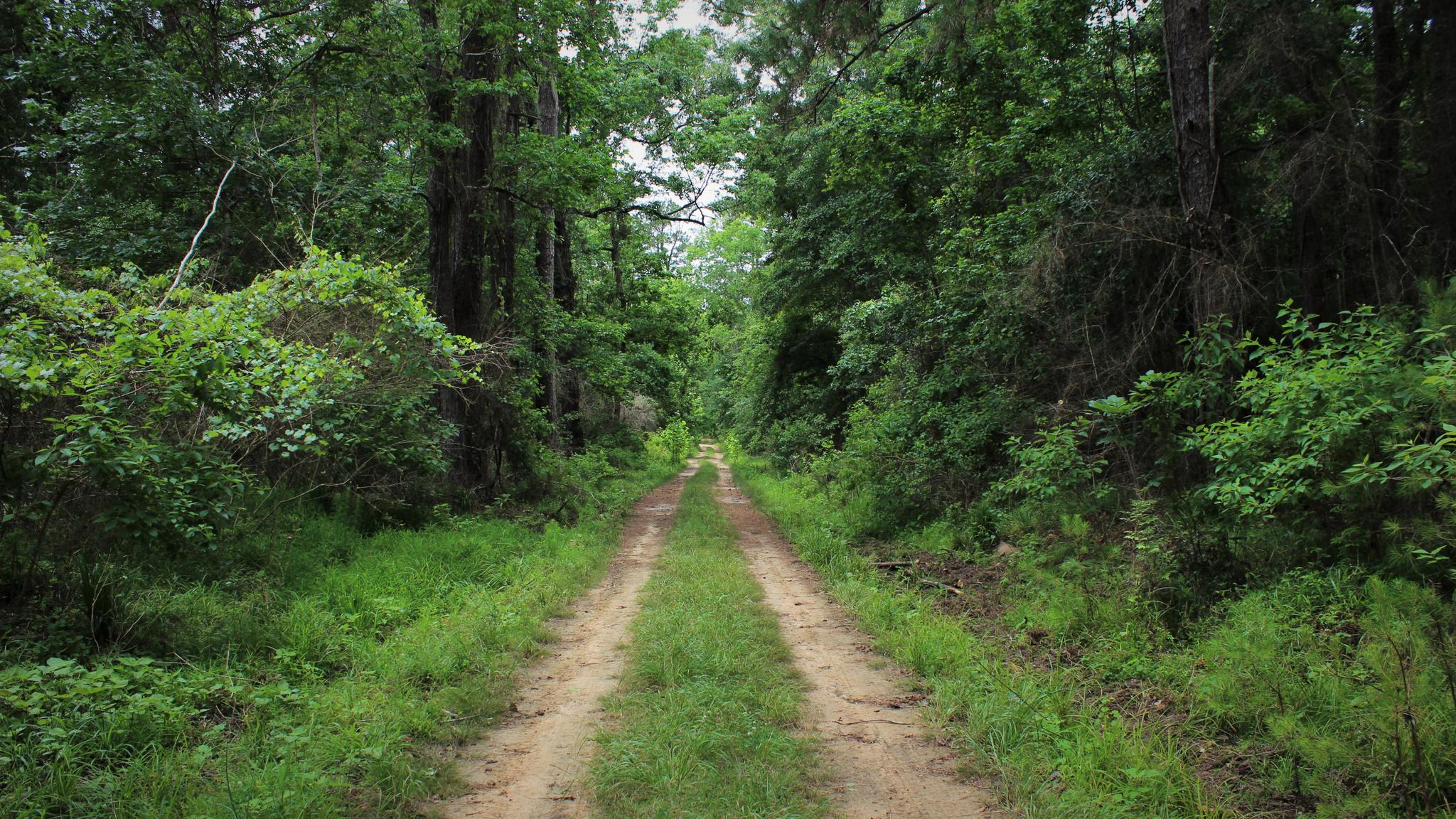 Big Thicket National Preserve