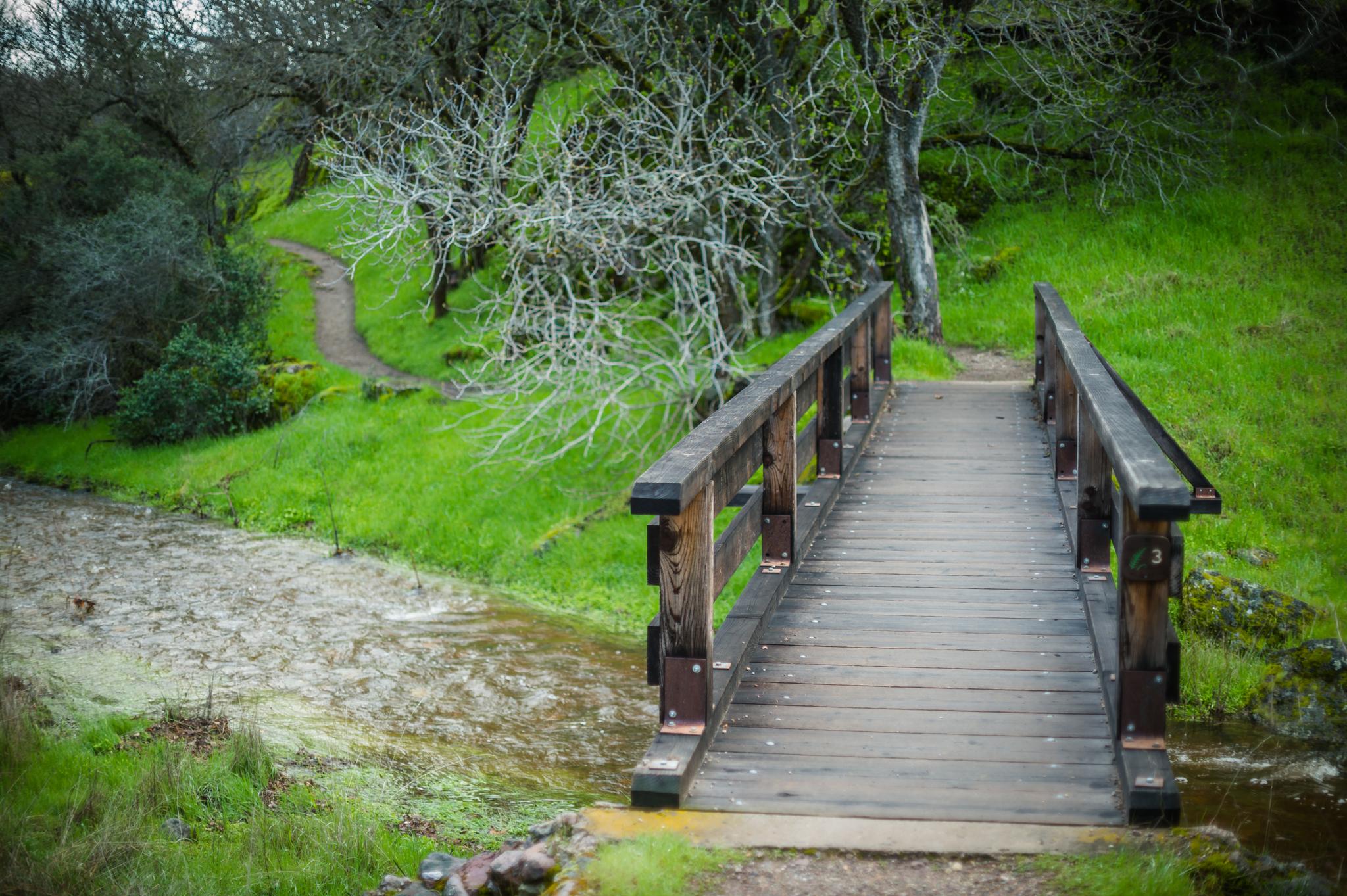 Pinnacles National Park