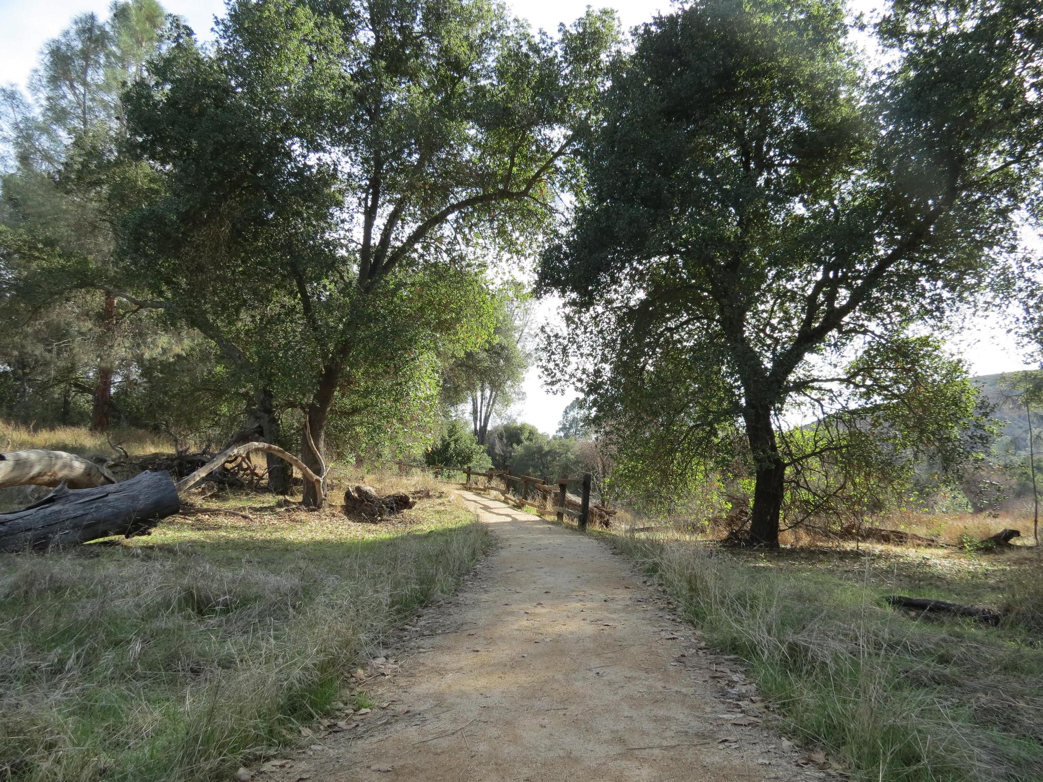 Pinnacles National Park