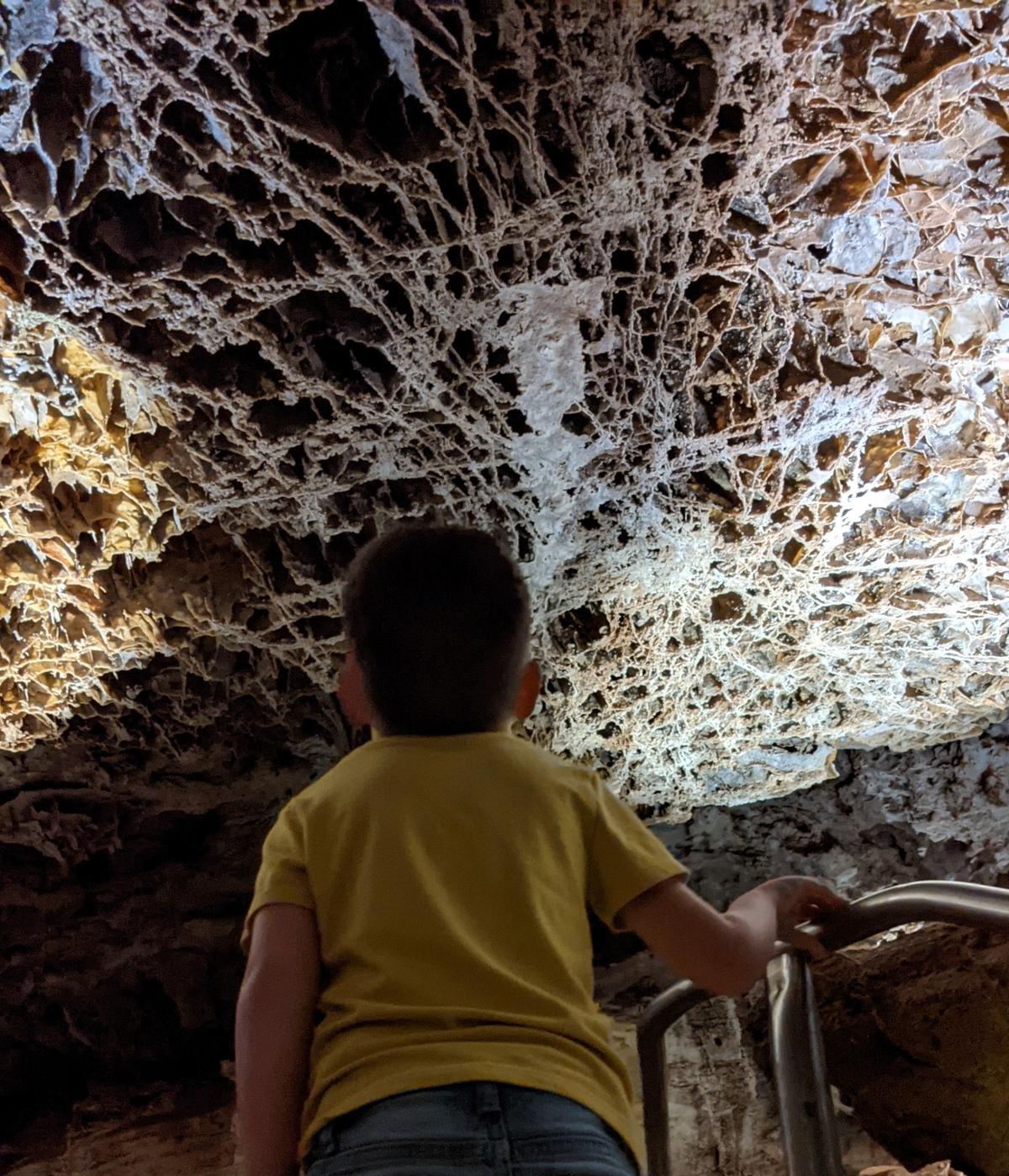 Wind Cave National Park