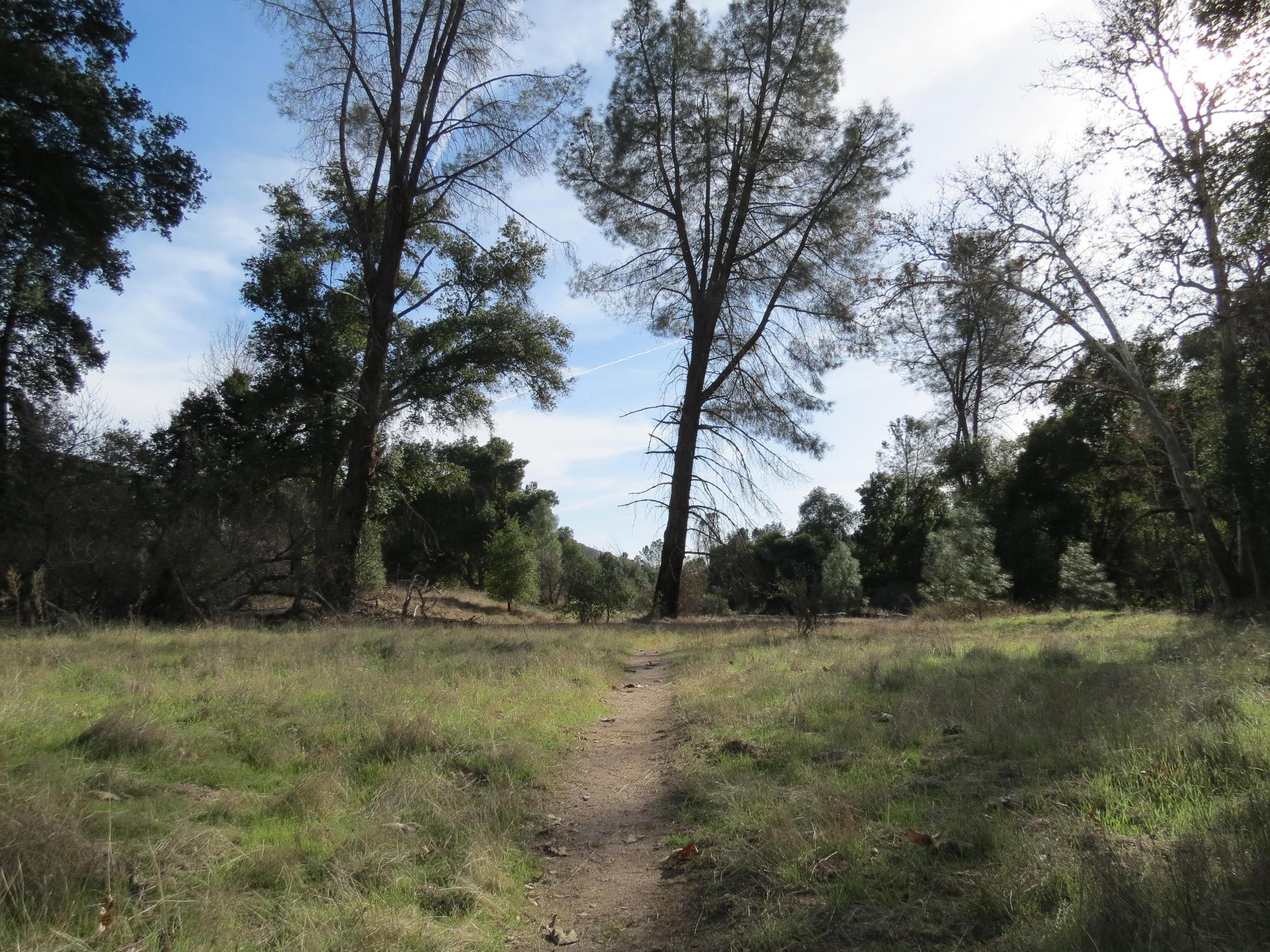 Pinnacles National Park
