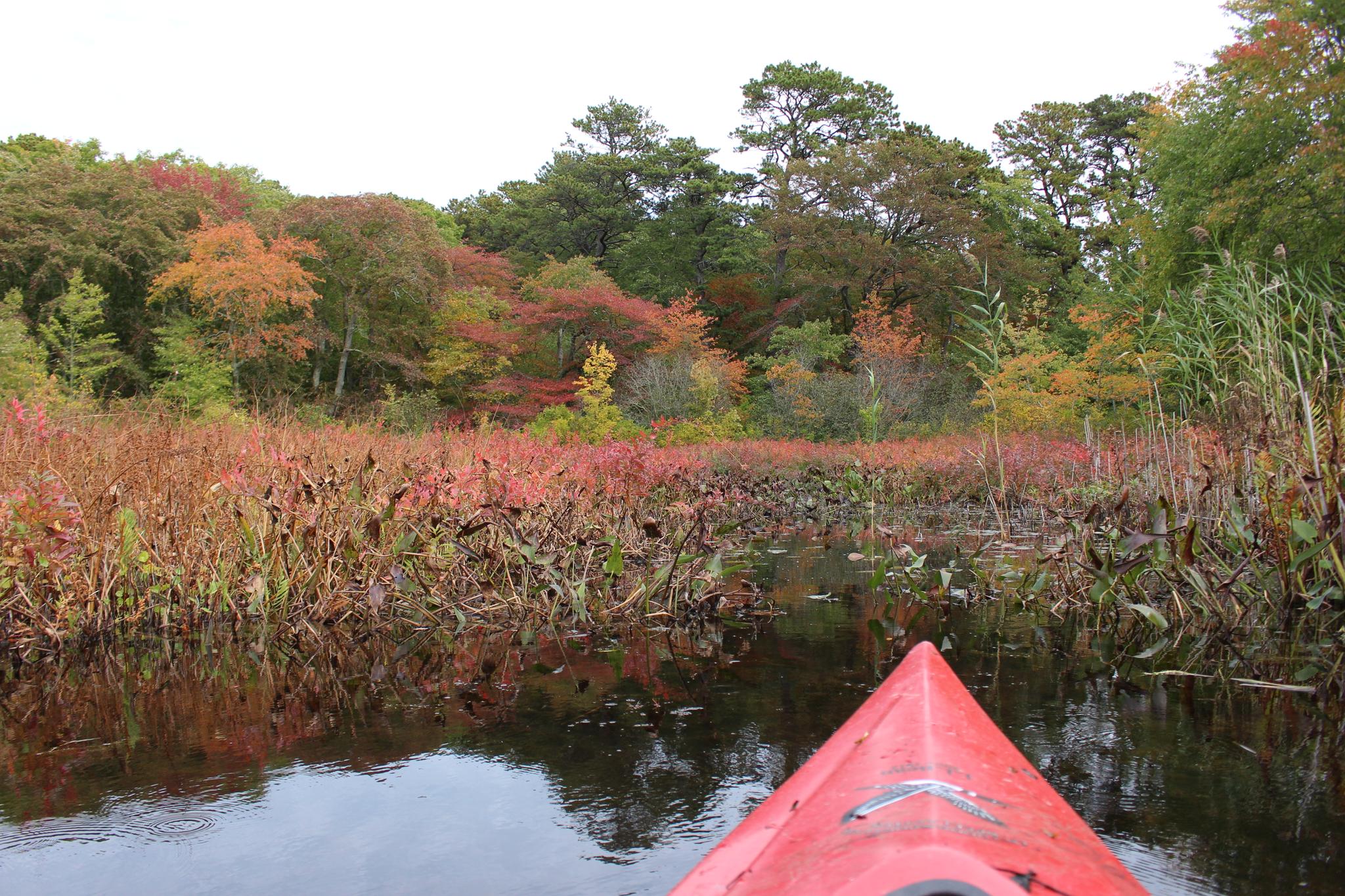 Cape Cod National Seashore