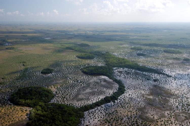 Everglades National Park