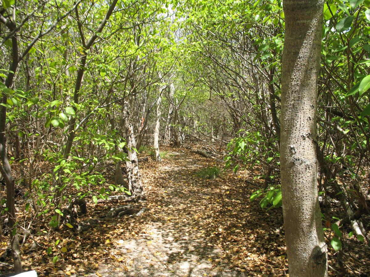Buck Island Reef National Monument