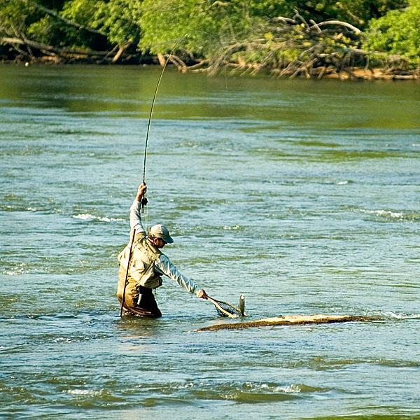 Chattahoochee River National Recreation Area