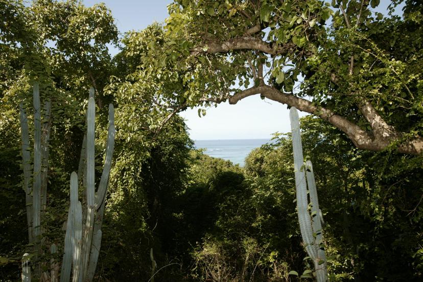 Buck Island Reef National Monument